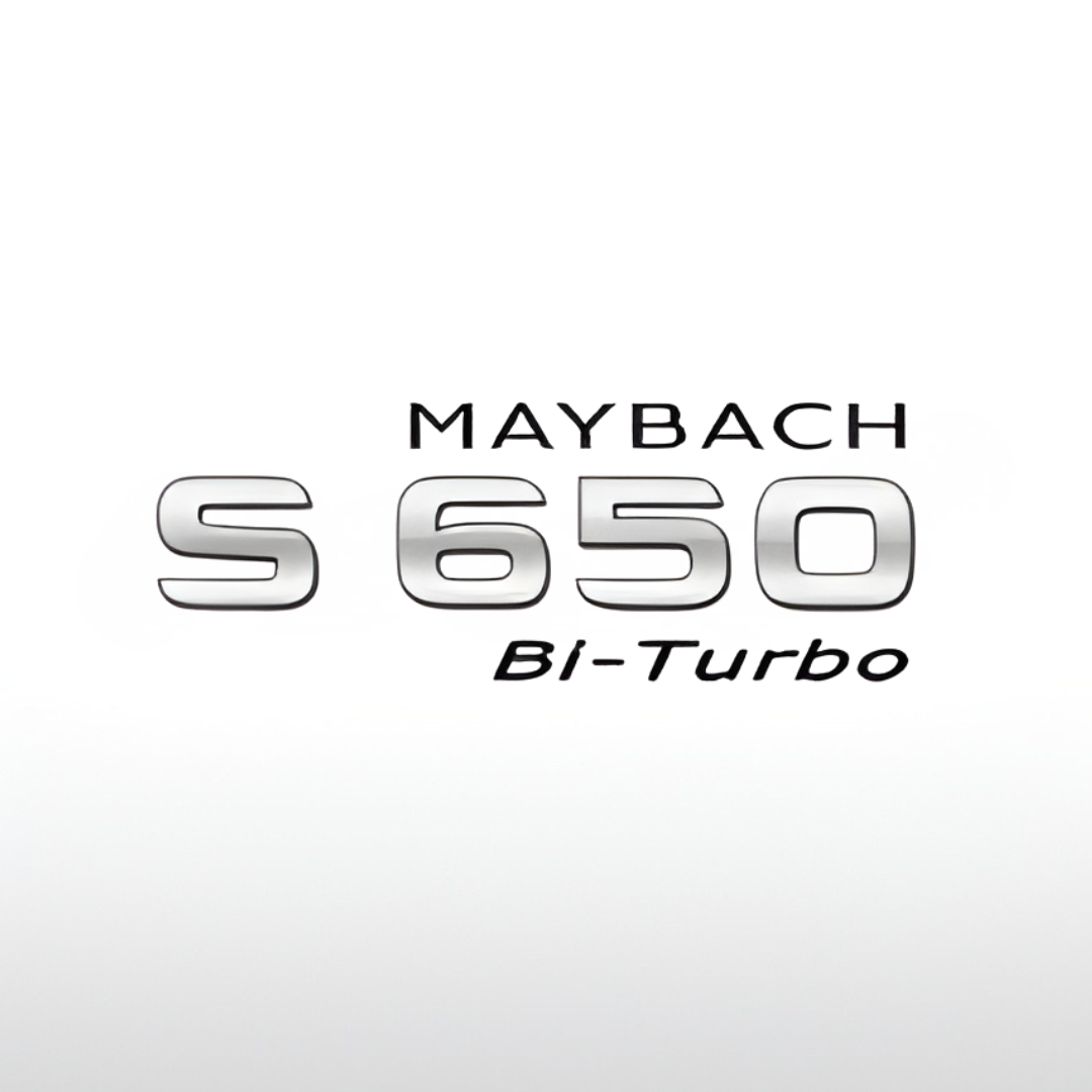 S 650 Maybach ( Mercedes-Benz | S Class (222) (2014-2017)) – RENNtech Inc
